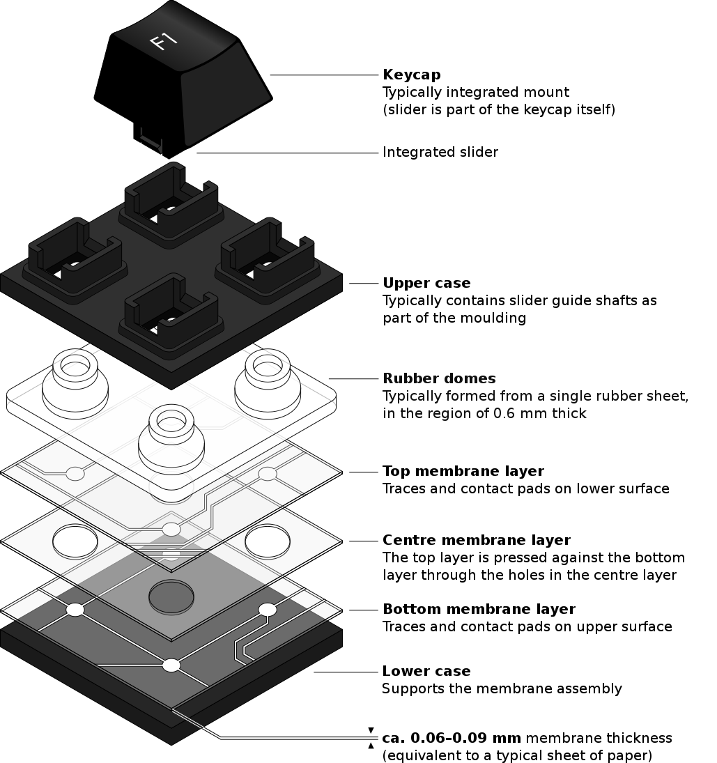 Mechanical vs Membrane Keyboard: What’s the Difference?